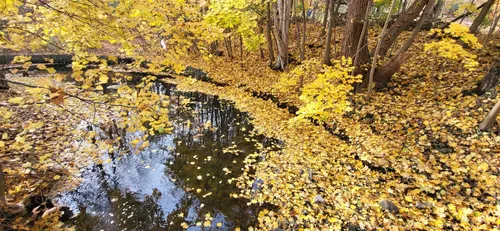 Best Hikes and Trails in Thomson Memorial Park | AllTrails