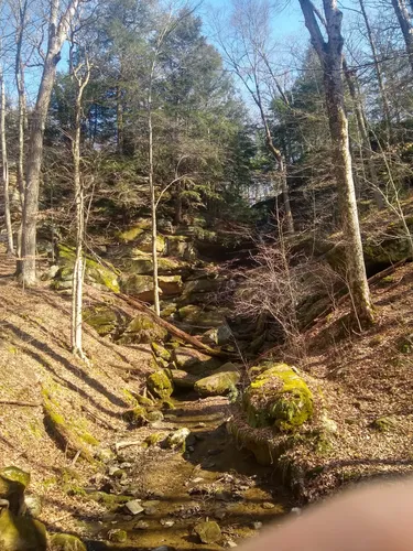 Best Trail Running Trails in Butler | AllTrails