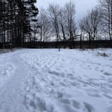 Mer Bleue Bog Trail, Ontario, Canada - 486 Reviews, Map | AllTrails