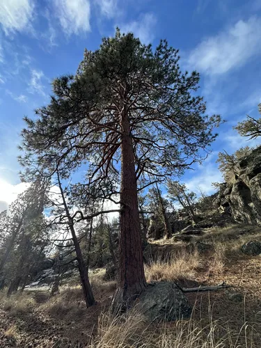 Best Hikes and Trails in Cline Buttes Recreation Area | AllTrails