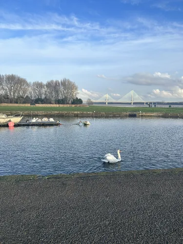 Best Hikes and Trails in Spike Island | AllTrails