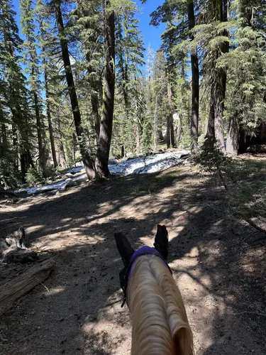 Best Beach Trails in Kyburz | AllTrails