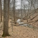 Turkey Run Potomac Heritage Trail, Virginia - 1,389 Reviews, Map ...
