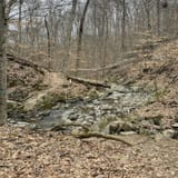 Turkey Run Potomac Heritage Trail, Virginia - 1,389 Reviews, Map ...