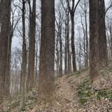 Turkey Run Potomac Heritage Trail, Virginia - 1,389 Reviews, Map ...