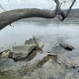 Turkey Run Potomac Heritage Trail, Virginia - 1,389 Reviews, Map ...