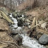 Turkey Run Potomac Heritage Trail, Virginia - 1,389 Reviews, Map ...