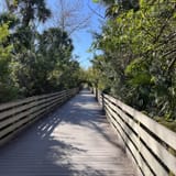 Brevard Zoo Linear Park Trail, Florida - 831 Reviews, Map | AllTrails