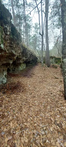 Best Hikes and Trails in Broxton | AllTrails