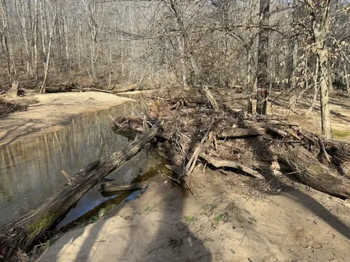 Best Hikes and Trails in Carl Alwin Schenck Memorial Forest | AllTrails