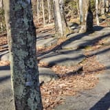 Case Mountain Trail, Connecticut - 982 Reviews, Map | AllTrails
