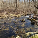 Case Mountain Trail, Connecticut - 982 Reviews, Map | AllTrails