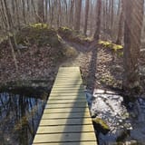 Case Mountain Trail, Connecticut - 982 Reviews, Map | AllTrails