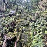 Cecilia Waterfall via Cecilia Forest, Western Cape, South Africa ...