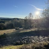 Olmstead Loop and Wendell Robie Trail, California - 2,926 Reviews, Map ...