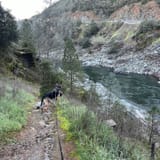 Olmstead Loop and Wendell Robie Trail, California - 2,926 Reviews, Map ...