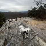 Raven Rocks via Appalachian Trail, Virginia - 5,759 Reviews, Map ...