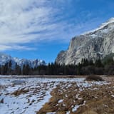 Sentinel Meadow Cook's Meadow Loop Trail, California - 2,858 Reviews ...