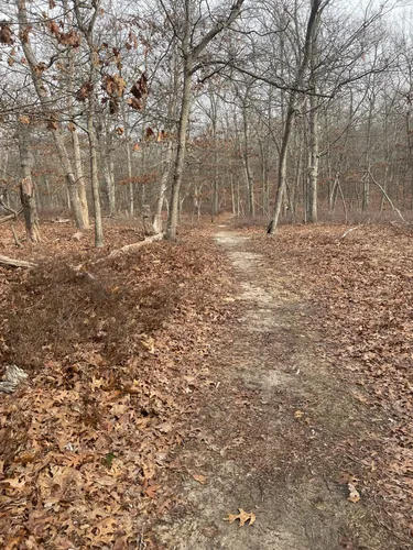 Best Hikes and Trails in Cedar Point County Park | AllTrails