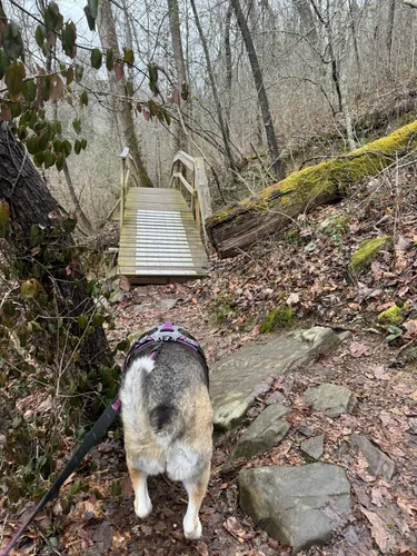 Best Hikes and Trails in Signal Point Park | AllTrails