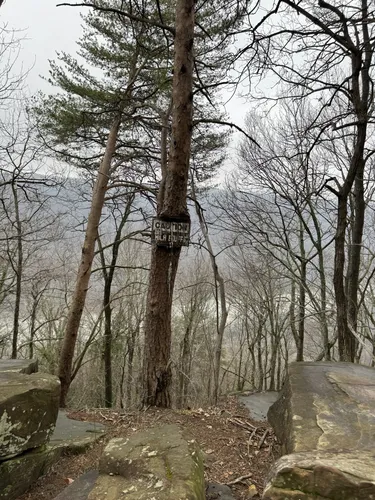 Best Hikes and Trails in Signal Point Park | AllTrails