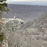 Whitaker Point Trail (Hawksbill Crag), Arkansas - 3,649 Reviews, Map ...