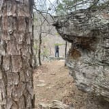 Whitaker Point Trail (Hawksbill Crag), Arkansas - 3,649 Reviews, Map ...