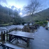 Teign Gorge Circular, Devon, England - 105 Reviews, Map | AllTrails