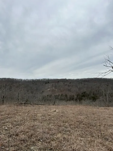 Best Hikes and Trails in Spring Creek Gap Conservation Area | AllTrails