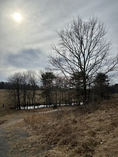 Best Hikes and Trails in Breakneck Hill Conservation Area | AllTrails