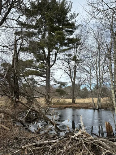 Best Hikes and Trails in Breakneck Hill Conservation Area | AllTrails