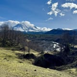 Hummocks Trail, Washington - 979 Reviews, Map | AllTrails