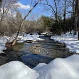 Saco River Trail, New Hampshire - 510 Reviews, Map | AllTrails