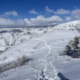 Big Beacon Mount Wire Trail, Utah - 1,851 Reviews, Map | AllTrails
