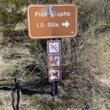 Pictograph Trail, California - 353 Reviews, Map | AllTrails