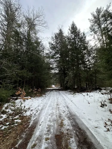 Best Hikes and Trails in Rutland State Park | AllTrails