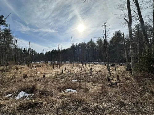 Best Hikes and Trails in Rutland State Park | AllTrails