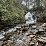Hawk Falls Trail, Pennsylvania - 2,776 Reviews, Map | AllTrails
