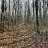 Manchester Pond, Massachusetts - 272 Reviews, Map | AllTrails