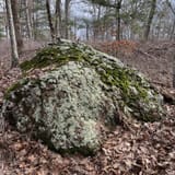 Manchester Pond, Massachusetts - 272 Reviews, Map | AllTrails