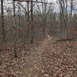 Devil's Backbone Trail, Tennessee - 336 Reviews, Map | AllTrails