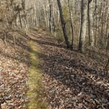 Devil's Backbone Trail, Tennessee - 336 Reviews, Map | AllTrails