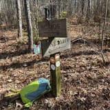 Neusiok Trail Northern Half, North Carolina - 168 Reviews, Map | AllTrails