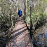 Neusiok Trail Northern Half, North Carolina - 151 Reviews, Map | AllTrails