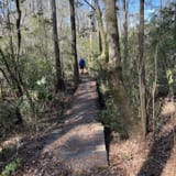 Neusiok Trail Northern Half, North Carolina - 151 Reviews, Map | AllTrails