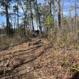 Neusiok Trail Northern Half, North Carolina - 151 Reviews, Map | AllTrails