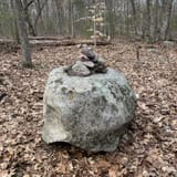 Manchester Pond, Massachusetts - 272 Reviews, Map | AllTrails