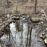 Manchester Pond, Massachusetts - 230 Reviews, Map | AllTrails