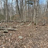 Manchester Pond, Massachusetts - 272 Reviews, Map | AllTrails