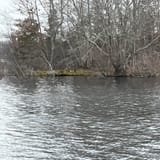 Manchester Pond, Massachusetts - 230 Reviews, Map | AllTrails
